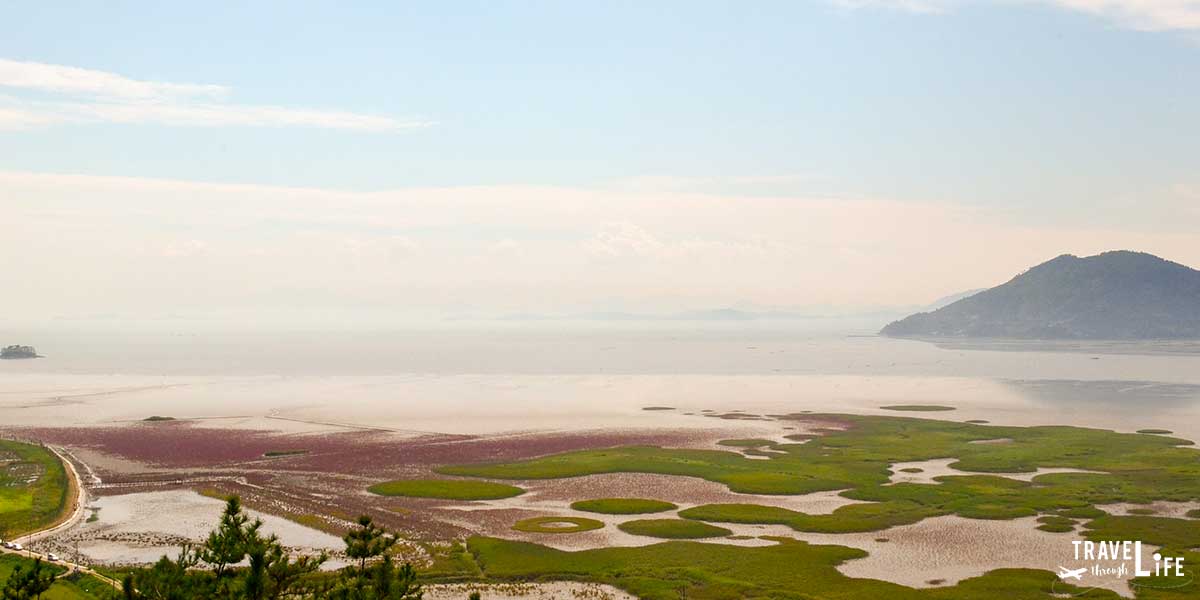 Visiting Suncheon Bay in Suncheon, South Korea | Travel Guide