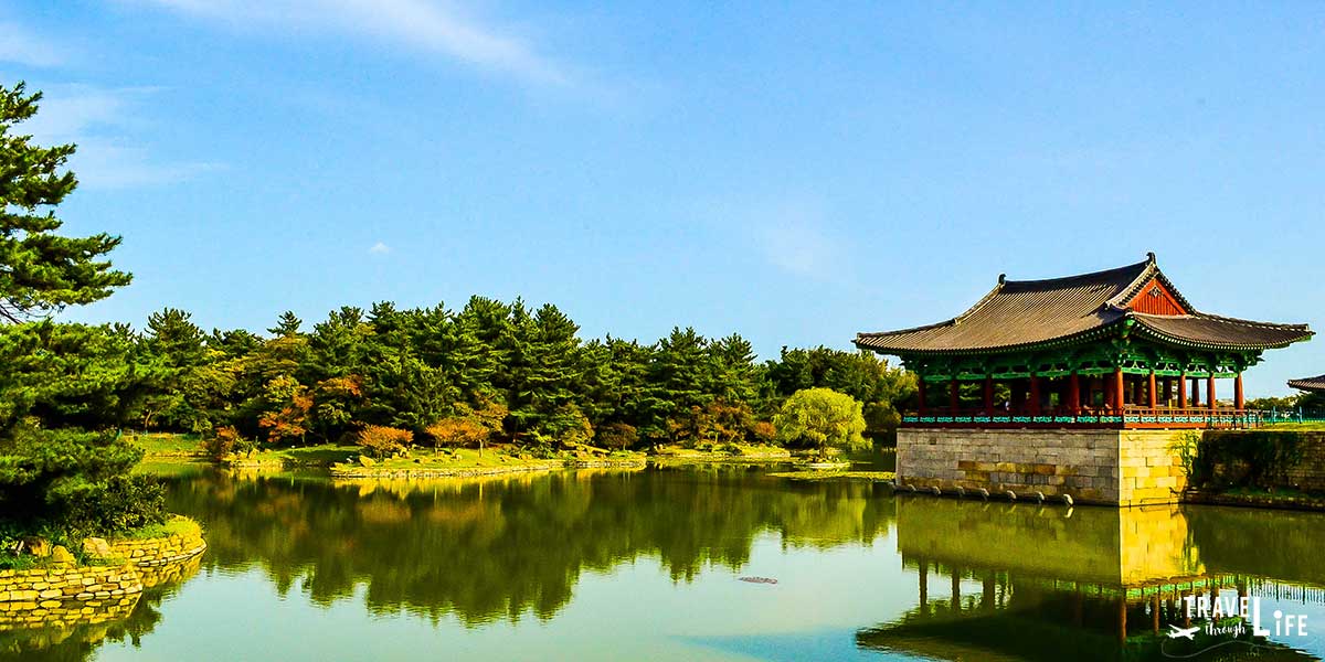 Riding Bikes to Gyeongju Anapji Pond | South Korea Travel Guide