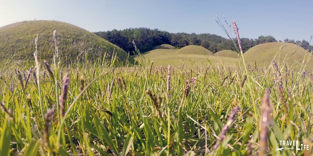 Visiting the Buyeo Tombs and Grassy Fields in South Korea | Travel Guide