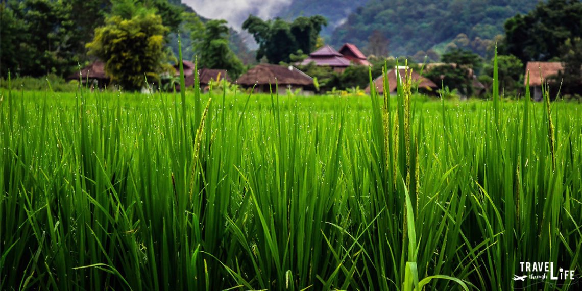 The Pai Travel Guide that Will Convince You to Go!