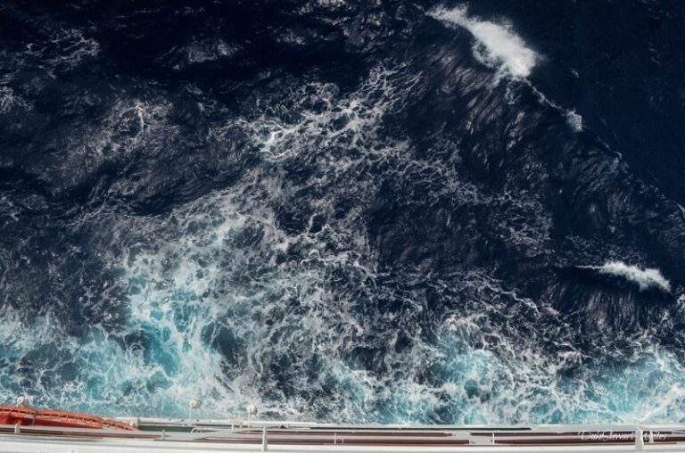 Joining a Fathom Cruise and Traveling Deep